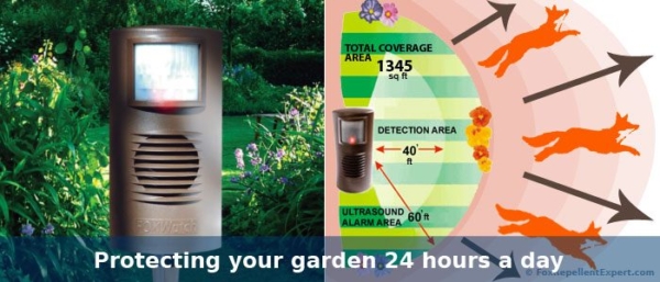 The FoxWatch Ultrasonic Fox Deterrent - Protect your garden 24/7